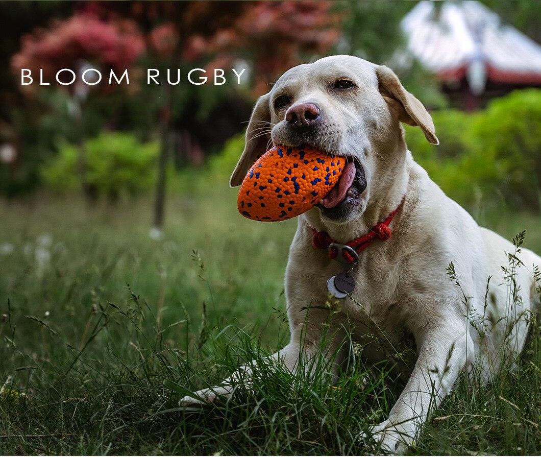 Fetch Bouncy Dog Balls and Ring Toys for Dogs - Float On Water - Durab